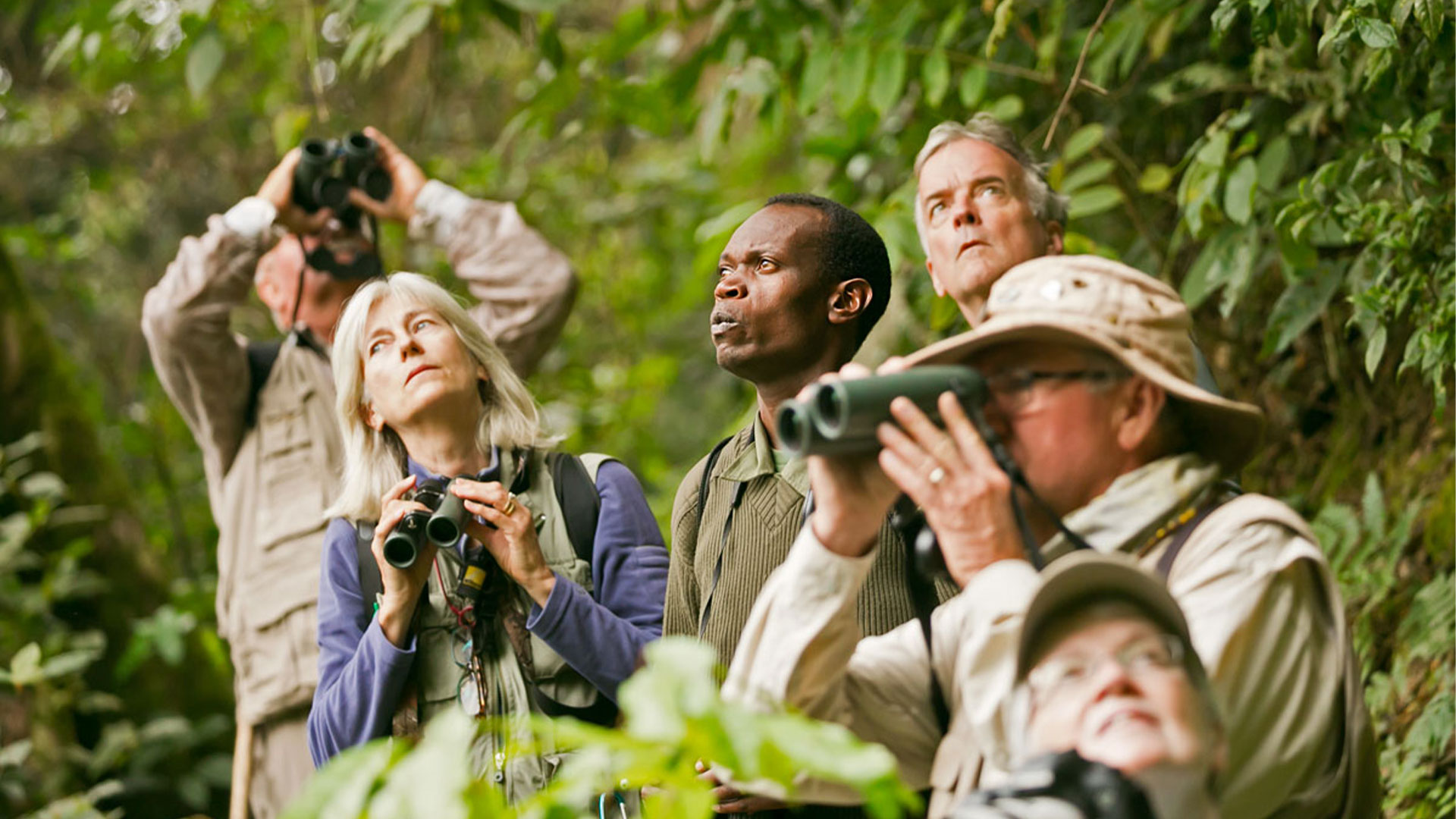 Experience - Bird-watching safari | Africa Geographic